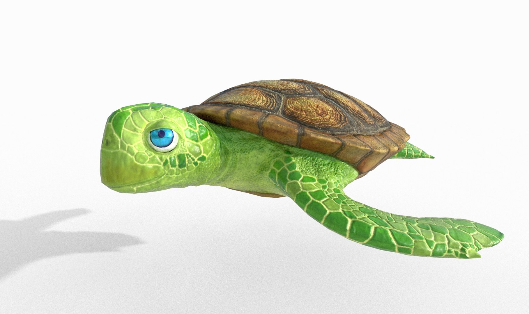 Sea Turtle 3D Model - TurboSquid 1419012