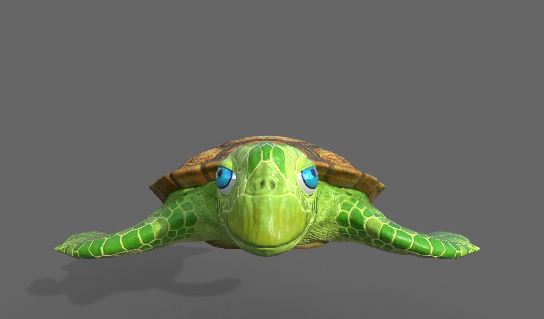 Sea Turtle 3D Model - TurboSquid 1419012