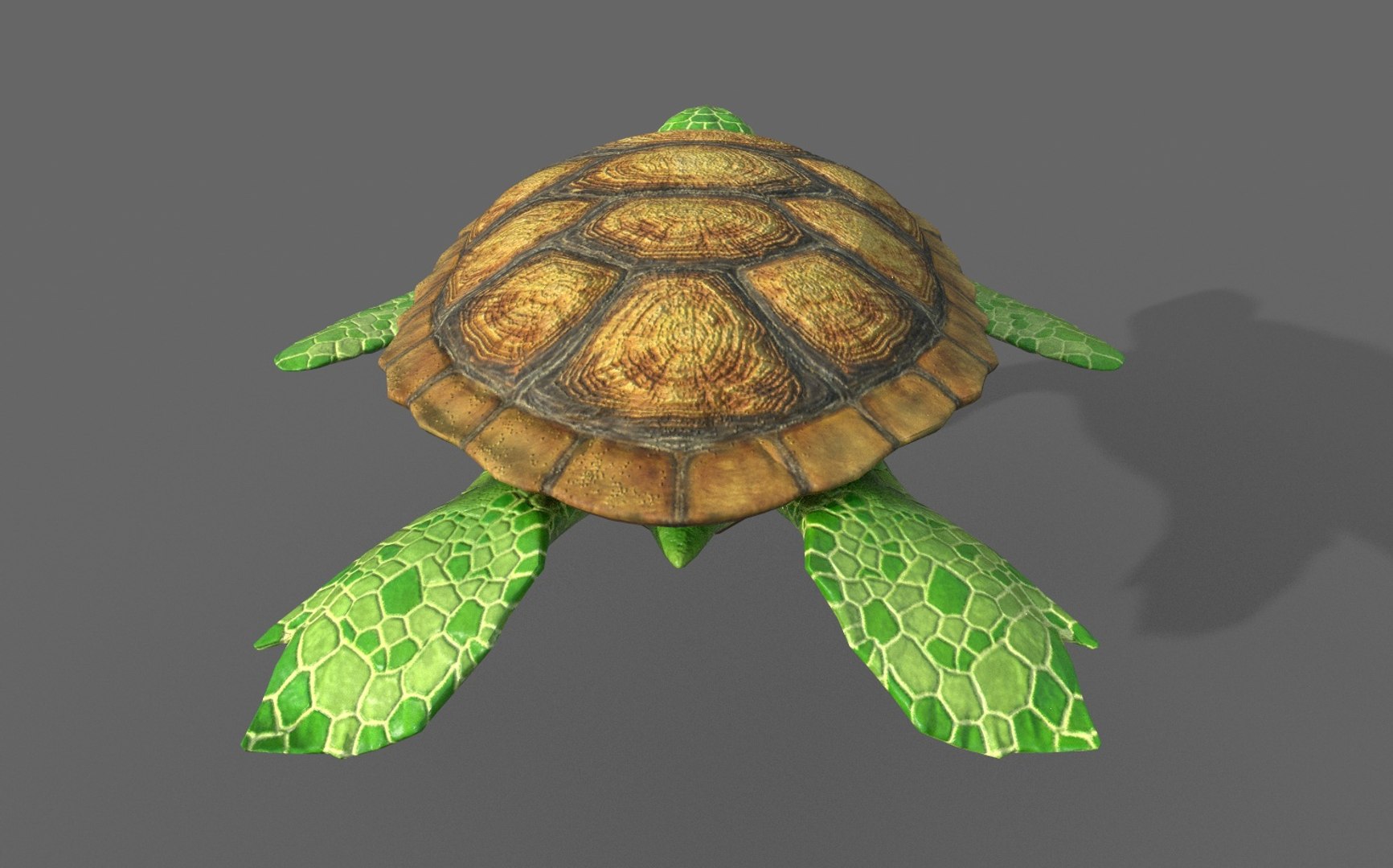 Sea Turtle 3D Model - TurboSquid 1419012