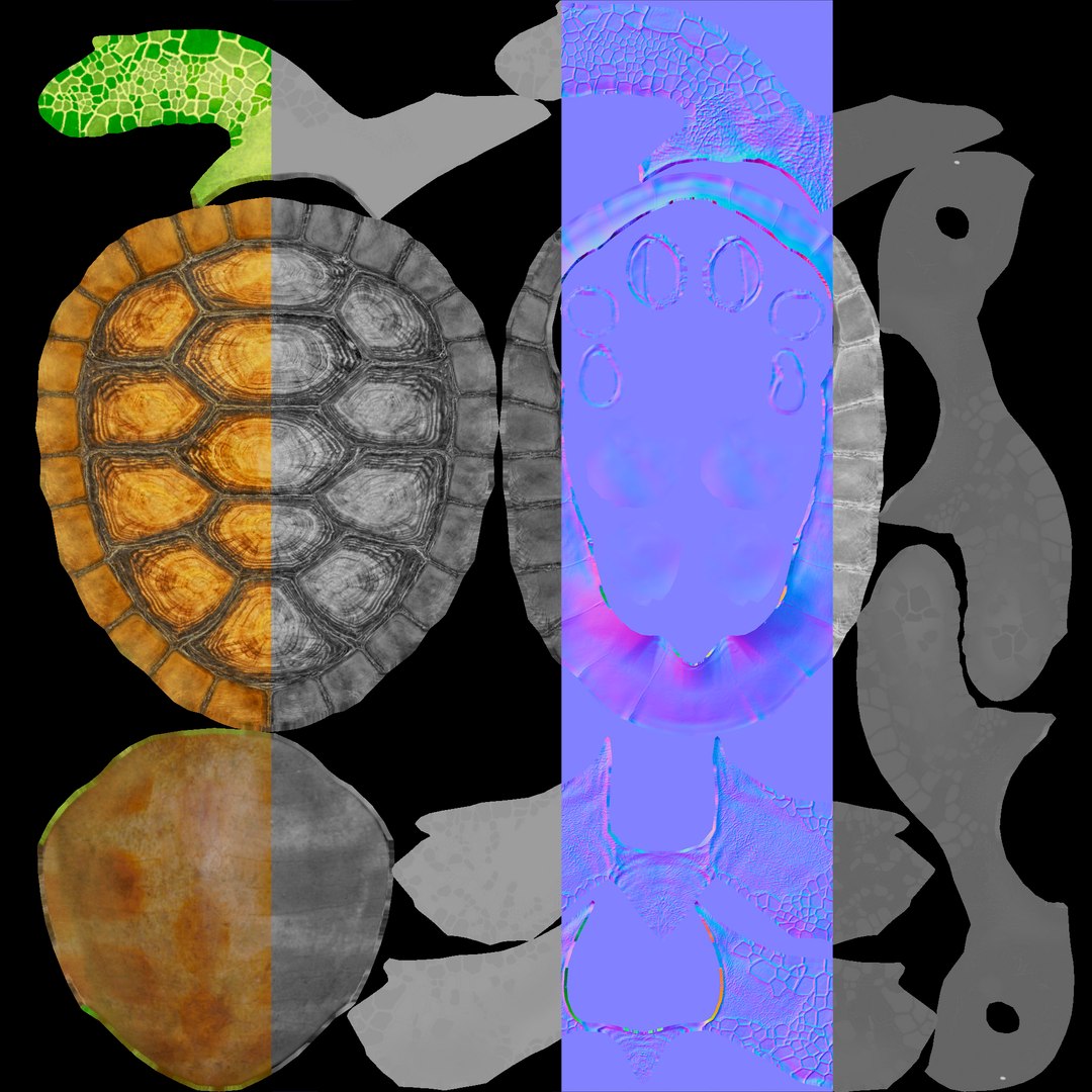 Sea Turtle 3D Model - TurboSquid 1419012