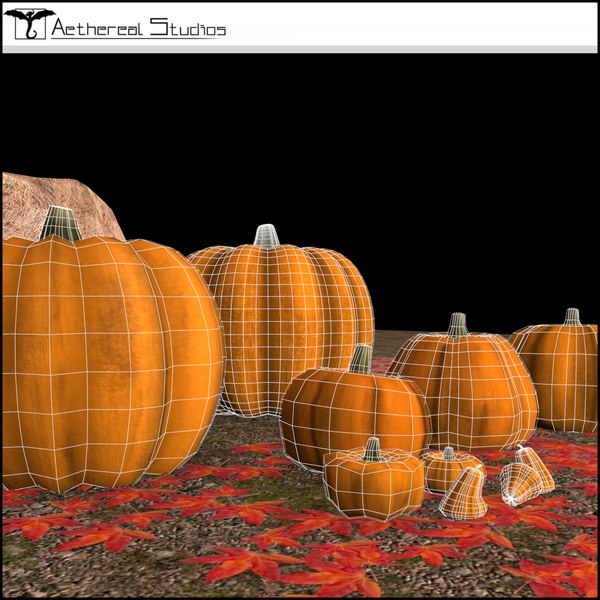 autumn pumpkins package 3d model