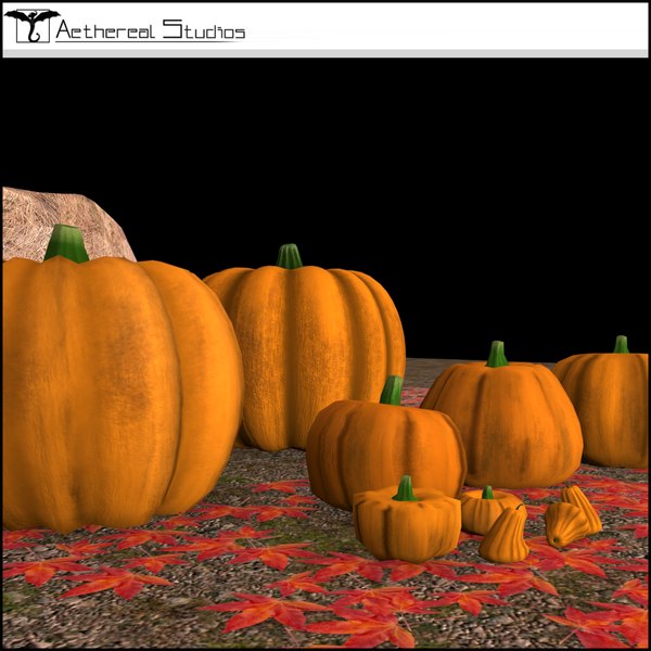 autumn pumpkins package 3d model