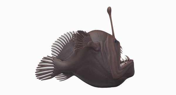 Pbr fish wrasse snapper 3D model - TurboSquid 1508928