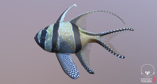 Pbr fish wrasse snapper 3D model - TurboSquid 1508928