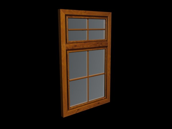3d max window