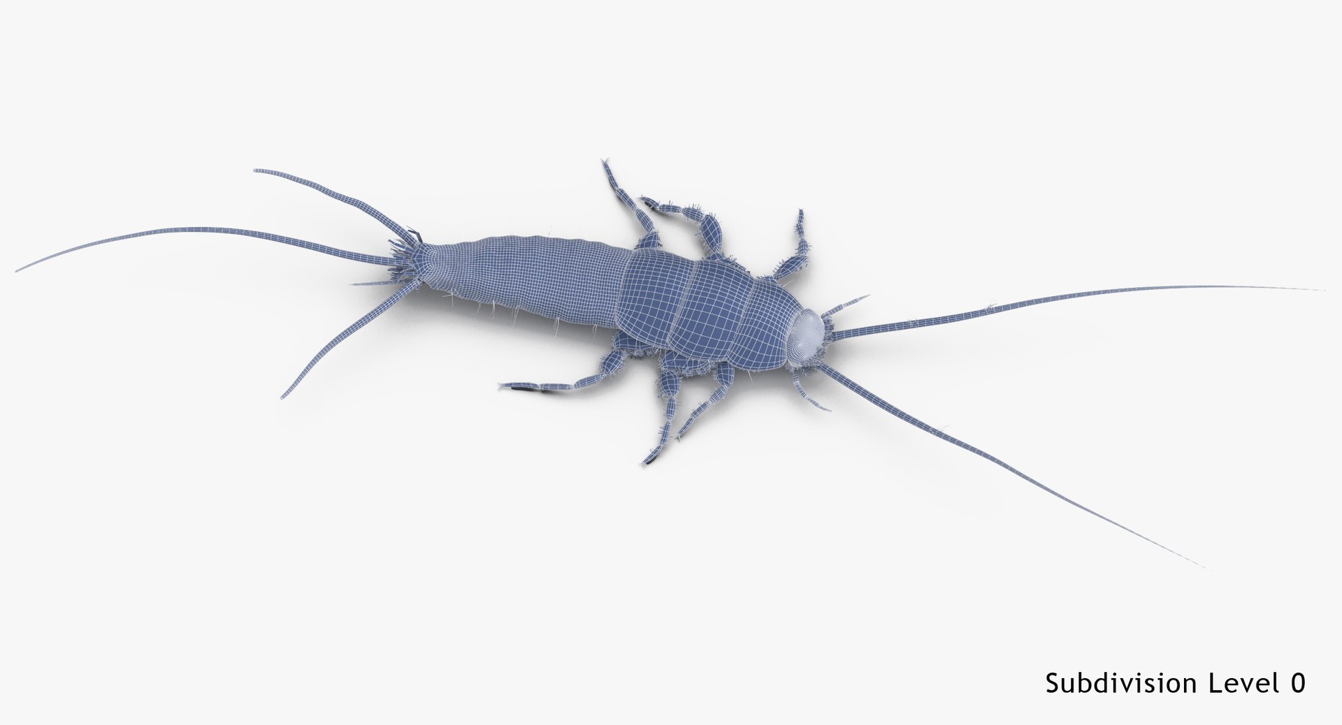 Silverfish Walking 3D Model - TurboSquid 1375581