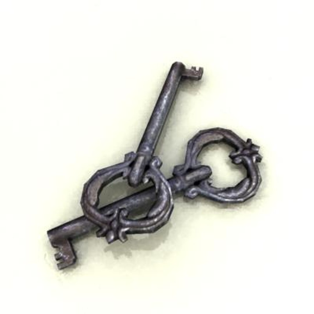 Skeleton Key 3d Model