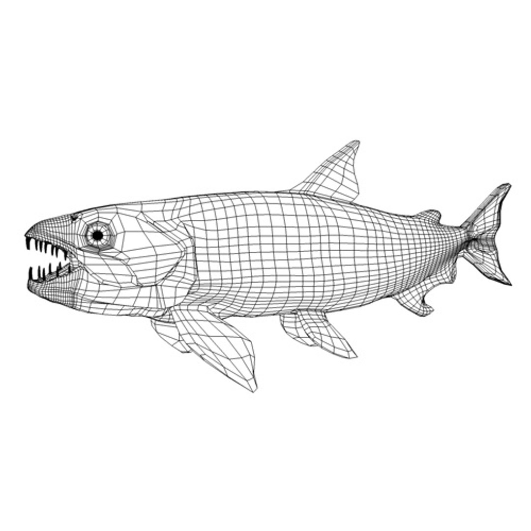 3d African Tigerfish Africa Piranha Fish Model