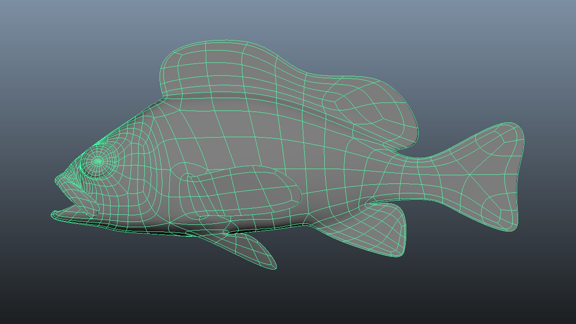 Redbanded Rockfish 3D Model - TurboSquid 1691342