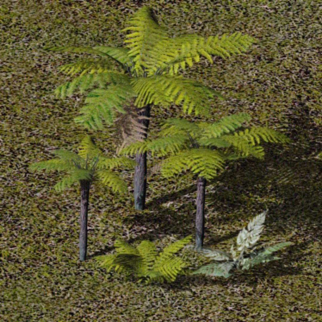 Treeferns Ferns Plants 3d Max