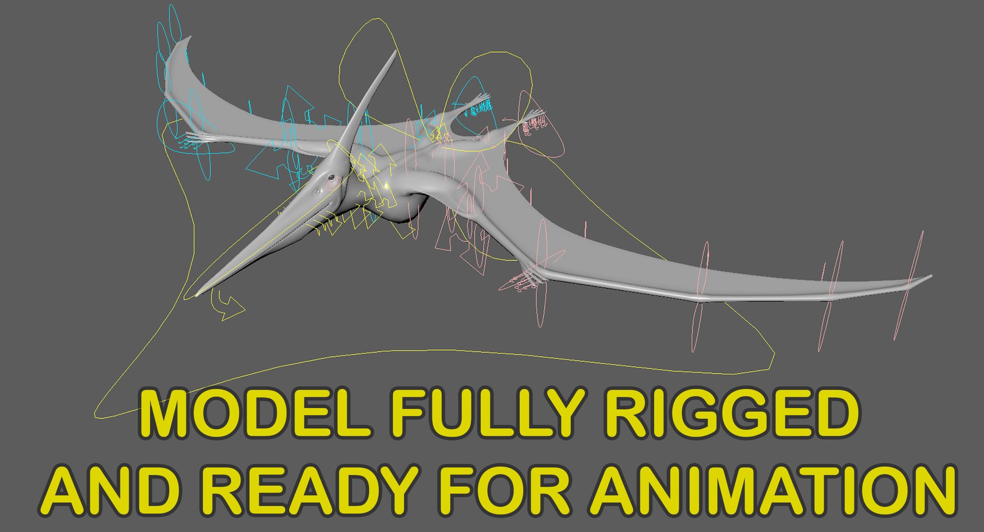 3D Rigged Pteranodon Longiceps Gray Model - TurboSquid 1519356