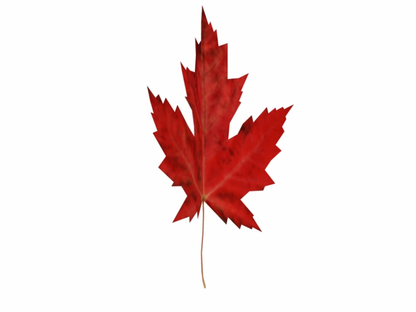 Maple Leaf 3d 3ds
