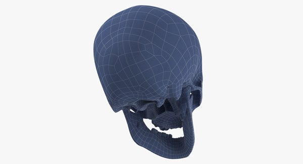 Real human female skull 3D model - TurboSquid 1659650