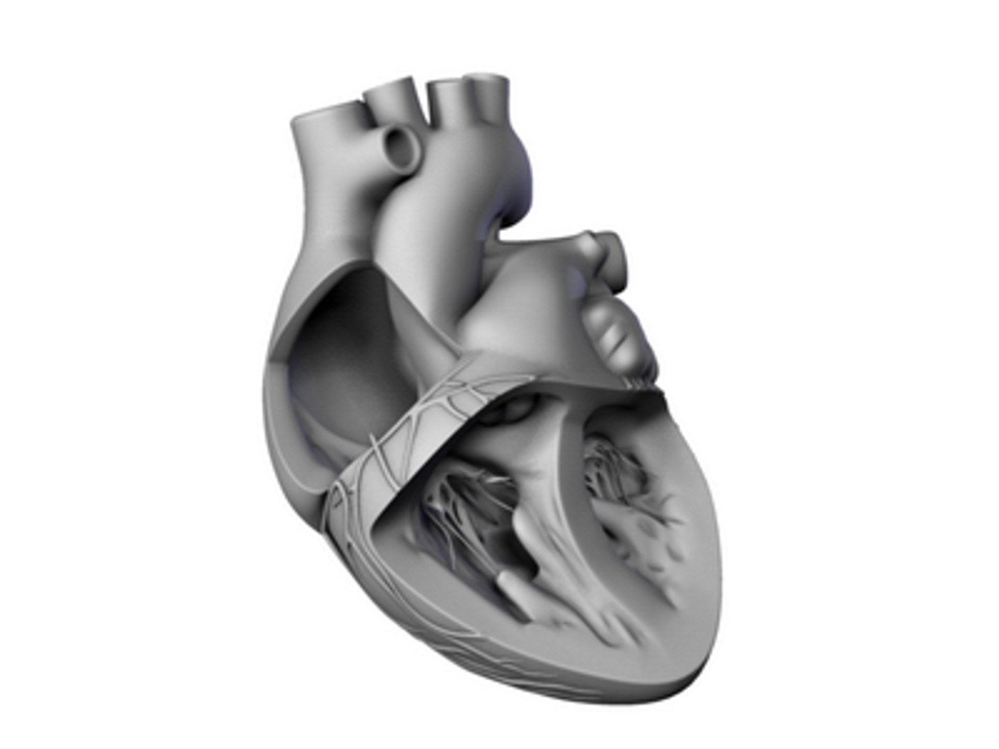 3d heart opened closed