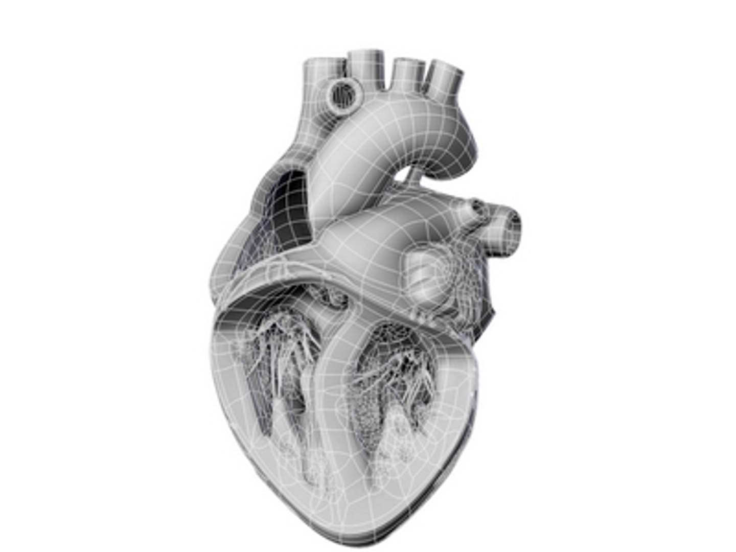 3d heart opened closed