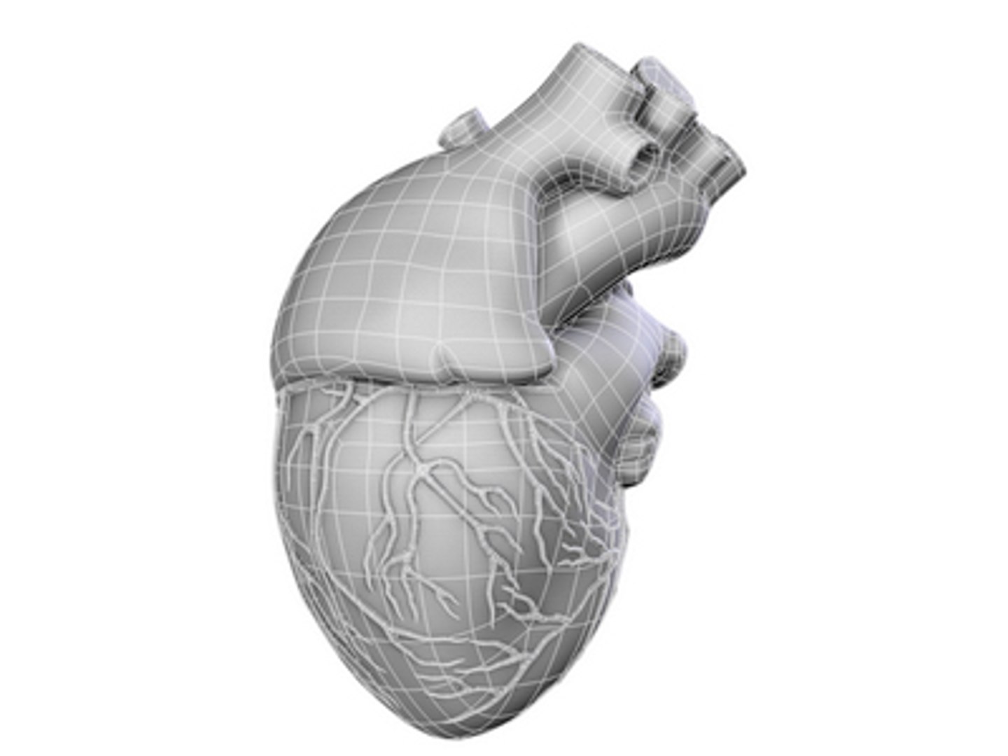 3d Heart Opened Closed