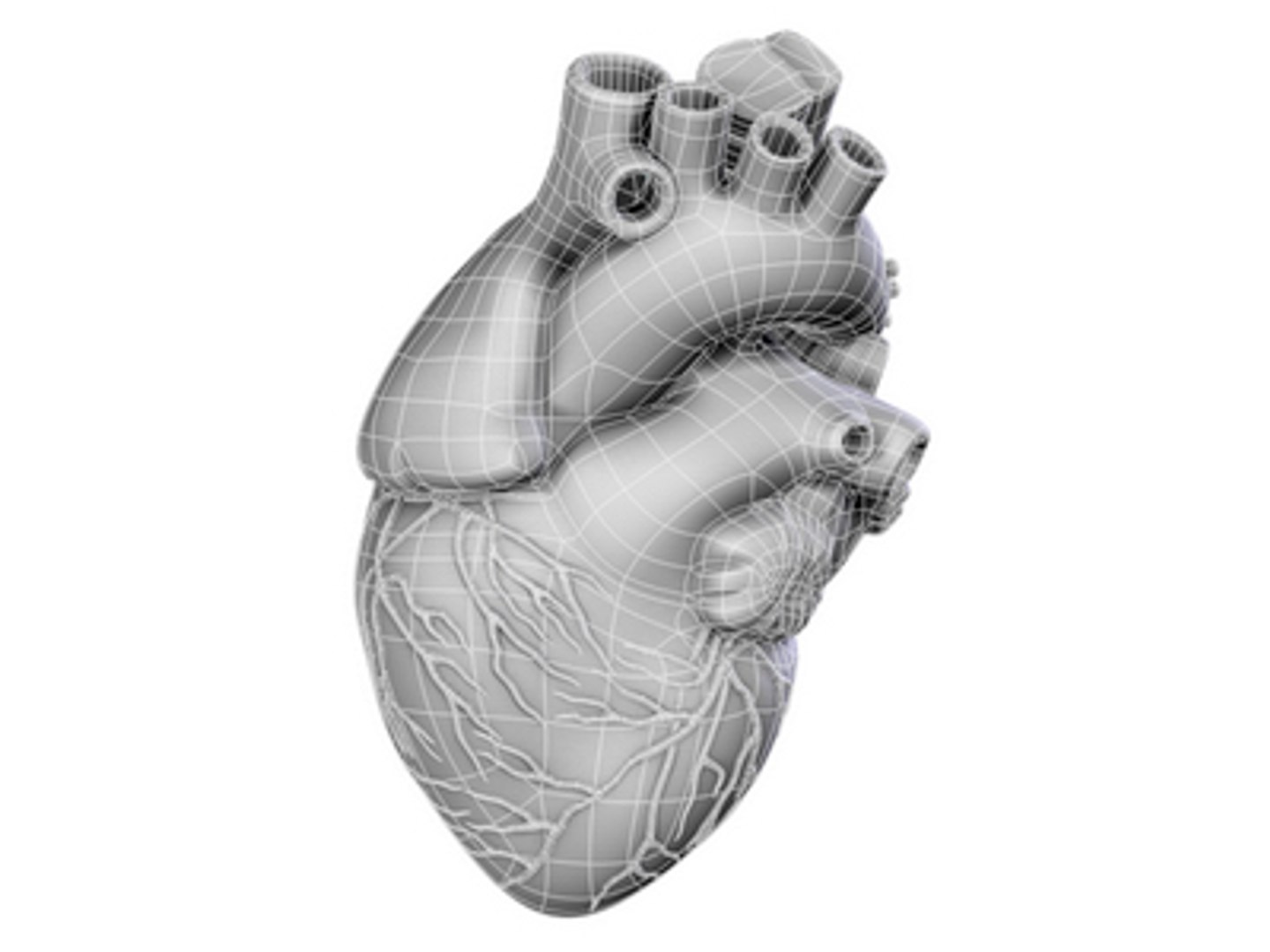 3d Heart Opened Closed