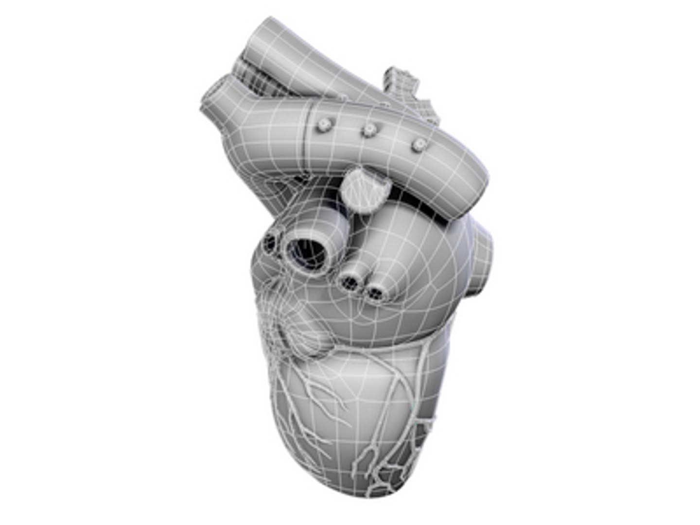 3d Heart Opened Closed