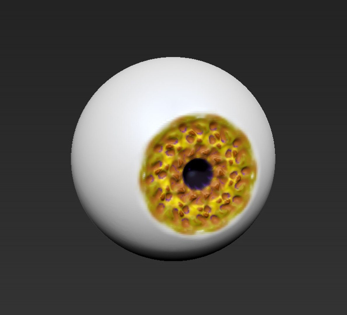 3D Ojo Model - TurboSquid 1161791