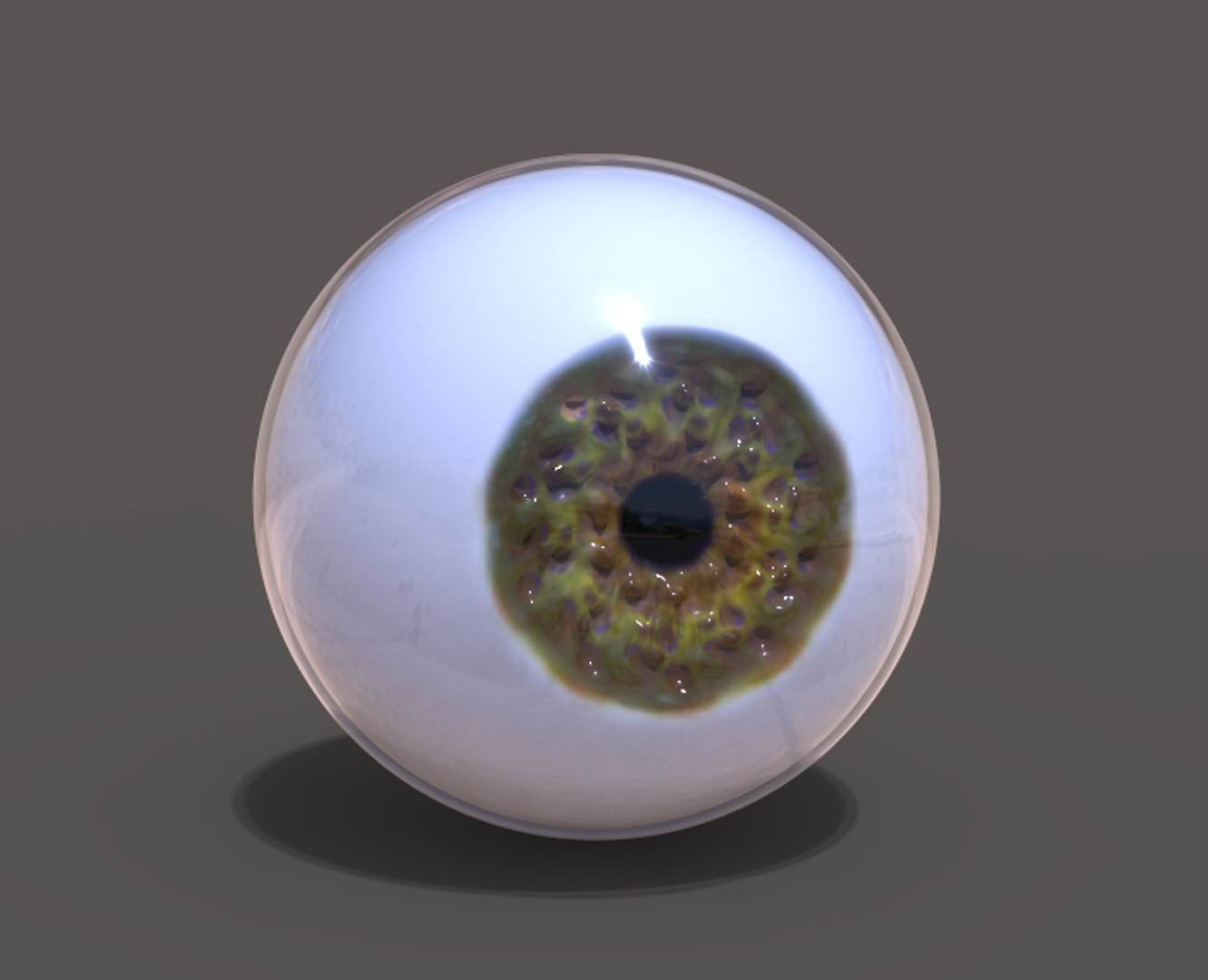 3D Ojo Model - TurboSquid 1161791