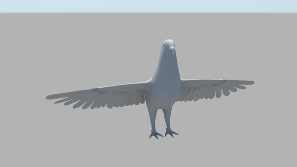 3D model dove - TurboSquid 1197241