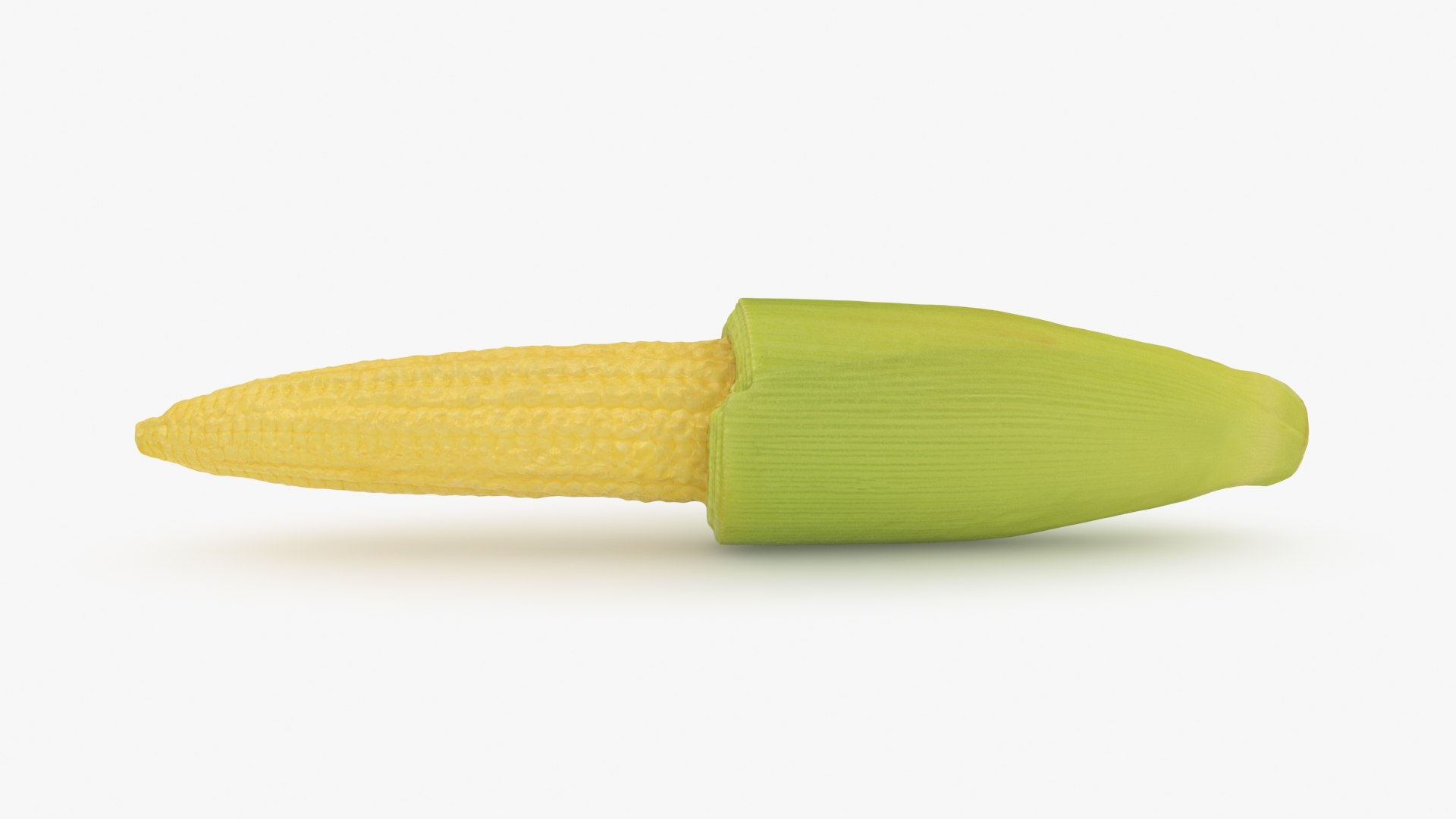 3D Baby Corn Collection Model - TurboSquid 2165220