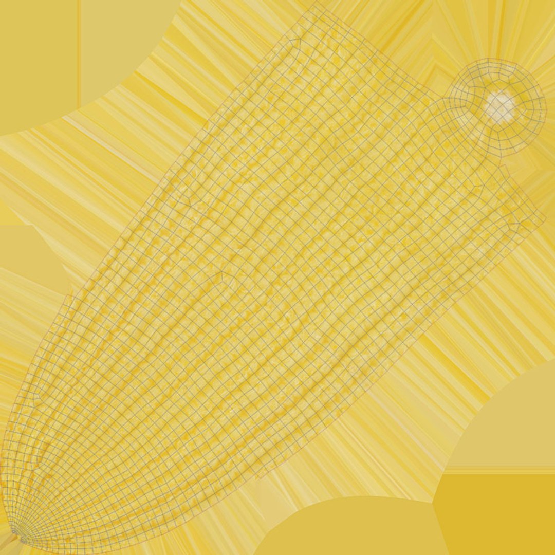 3D Baby Corn Collection Model - TurboSquid 2165220