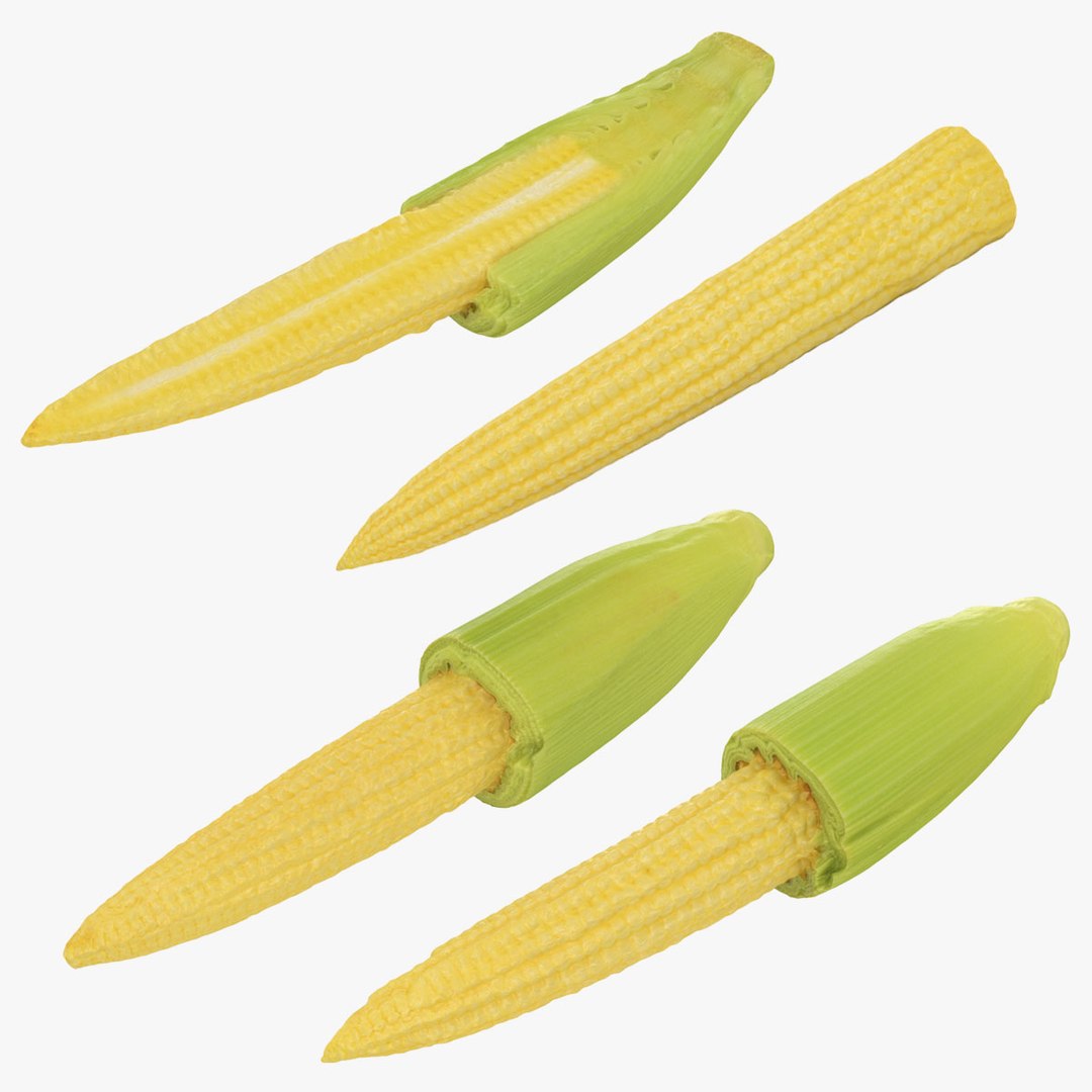 3D Baby Corn Collection Model - TurboSquid 2165220