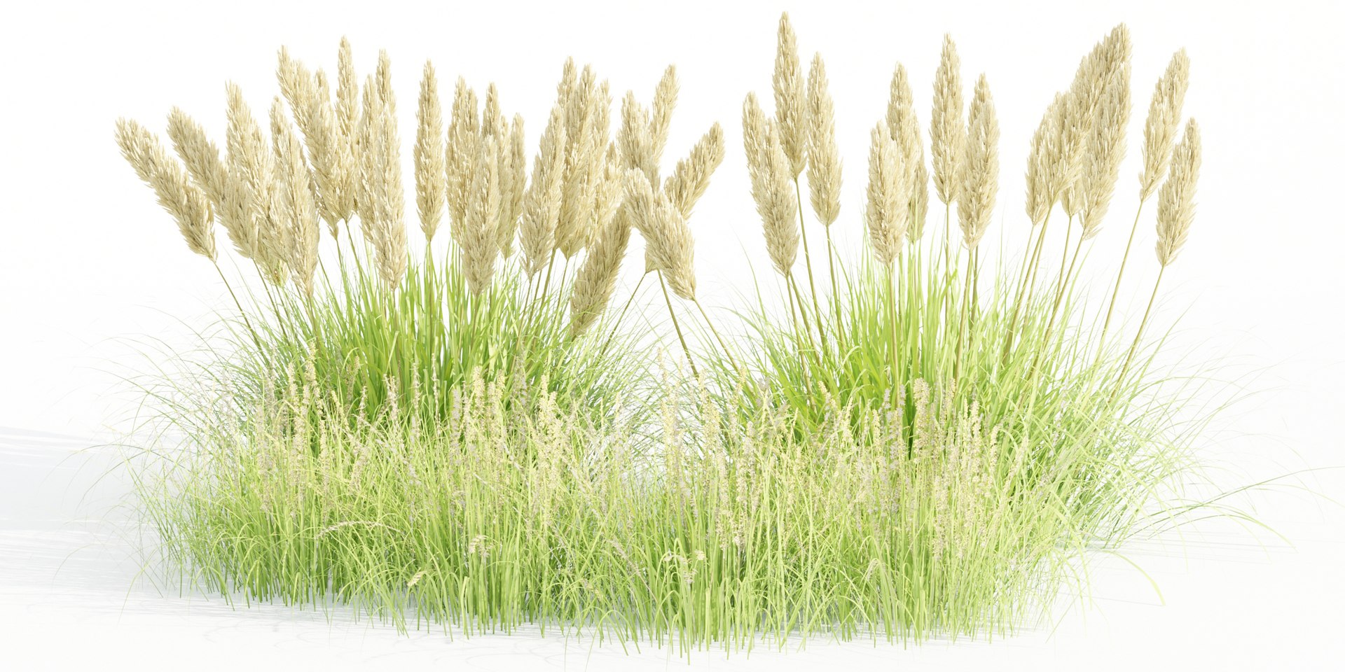 3D Outdoor Plants Collection Vol 80-Blender Model - TurboSquid 2126360