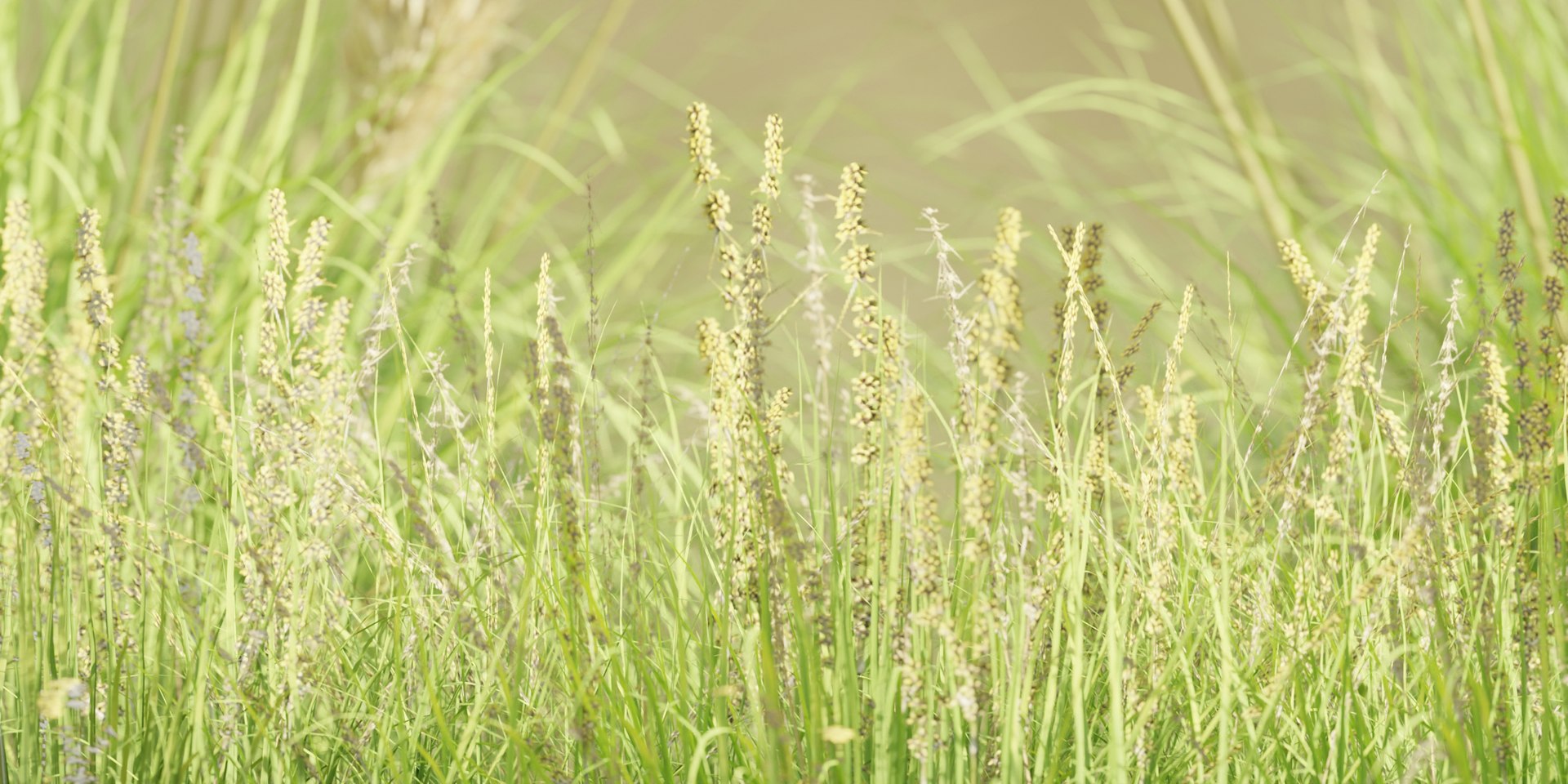 3D Outdoor Plants Collection Vol 80-Blender Model - TurboSquid 2126360