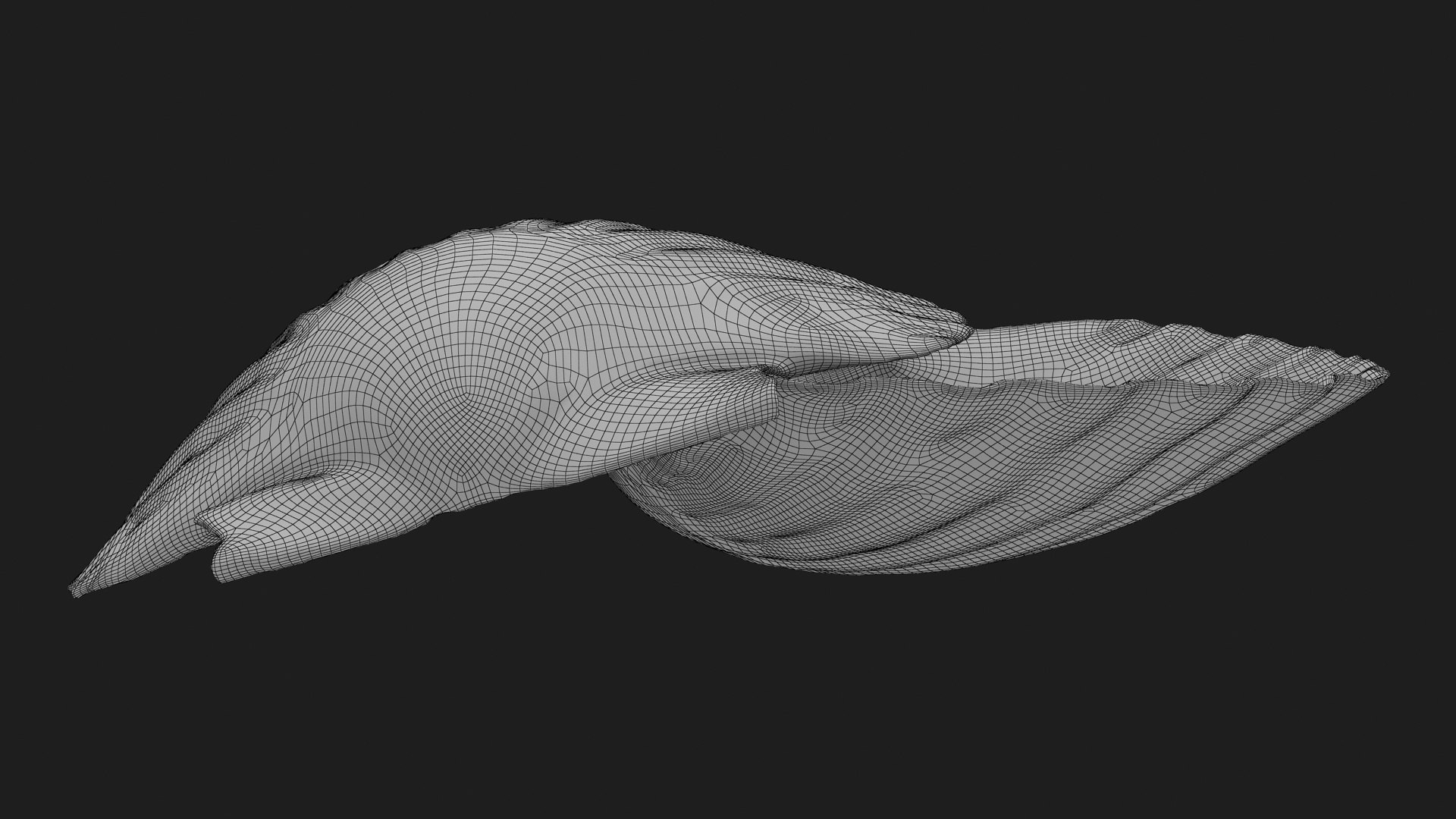 Clam Shell 02 Pose 2 3D Model - TurboSquid 2223907