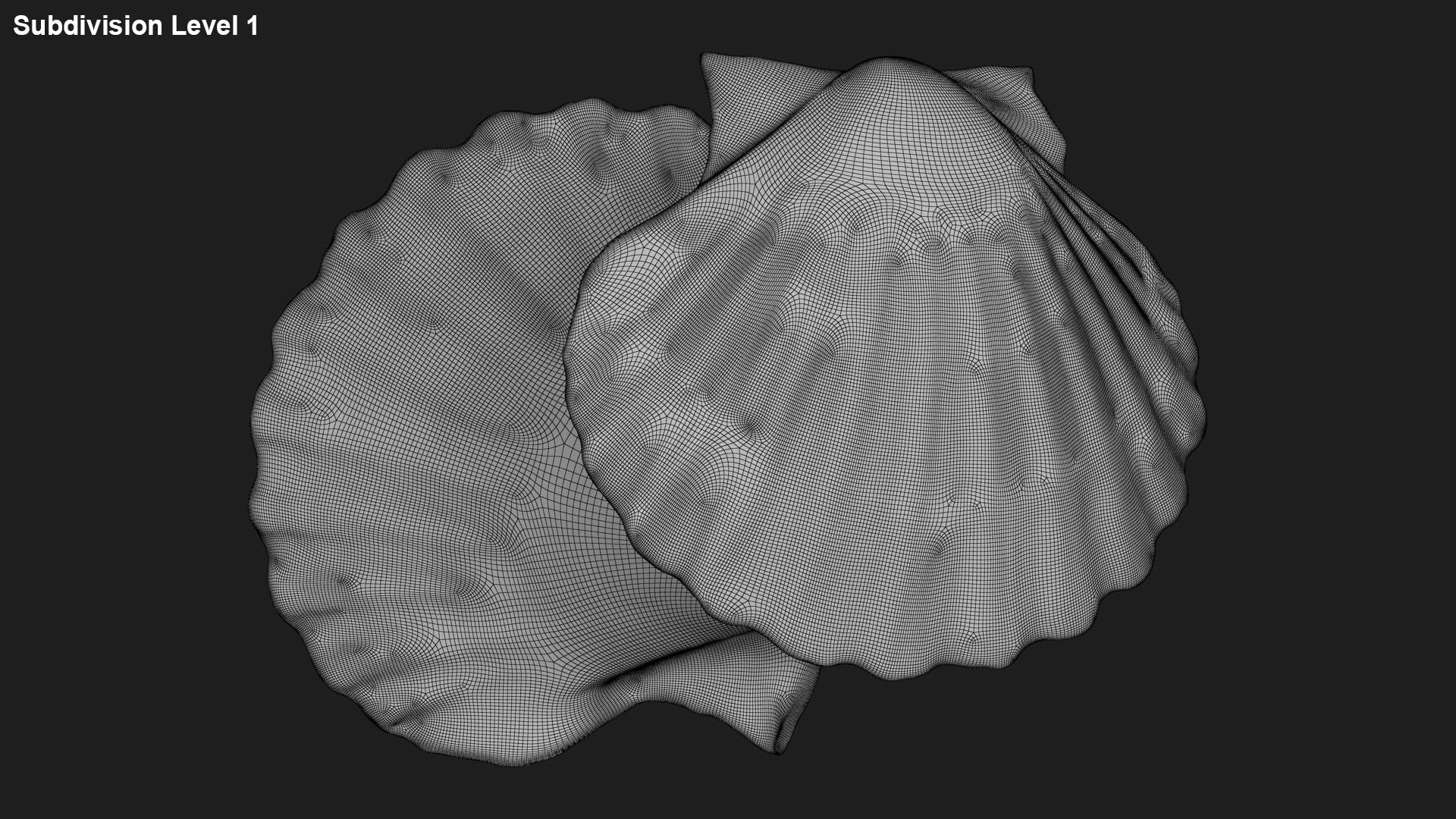 Clam Shell 02 Pose 2 3D Model - TurboSquid 2223907