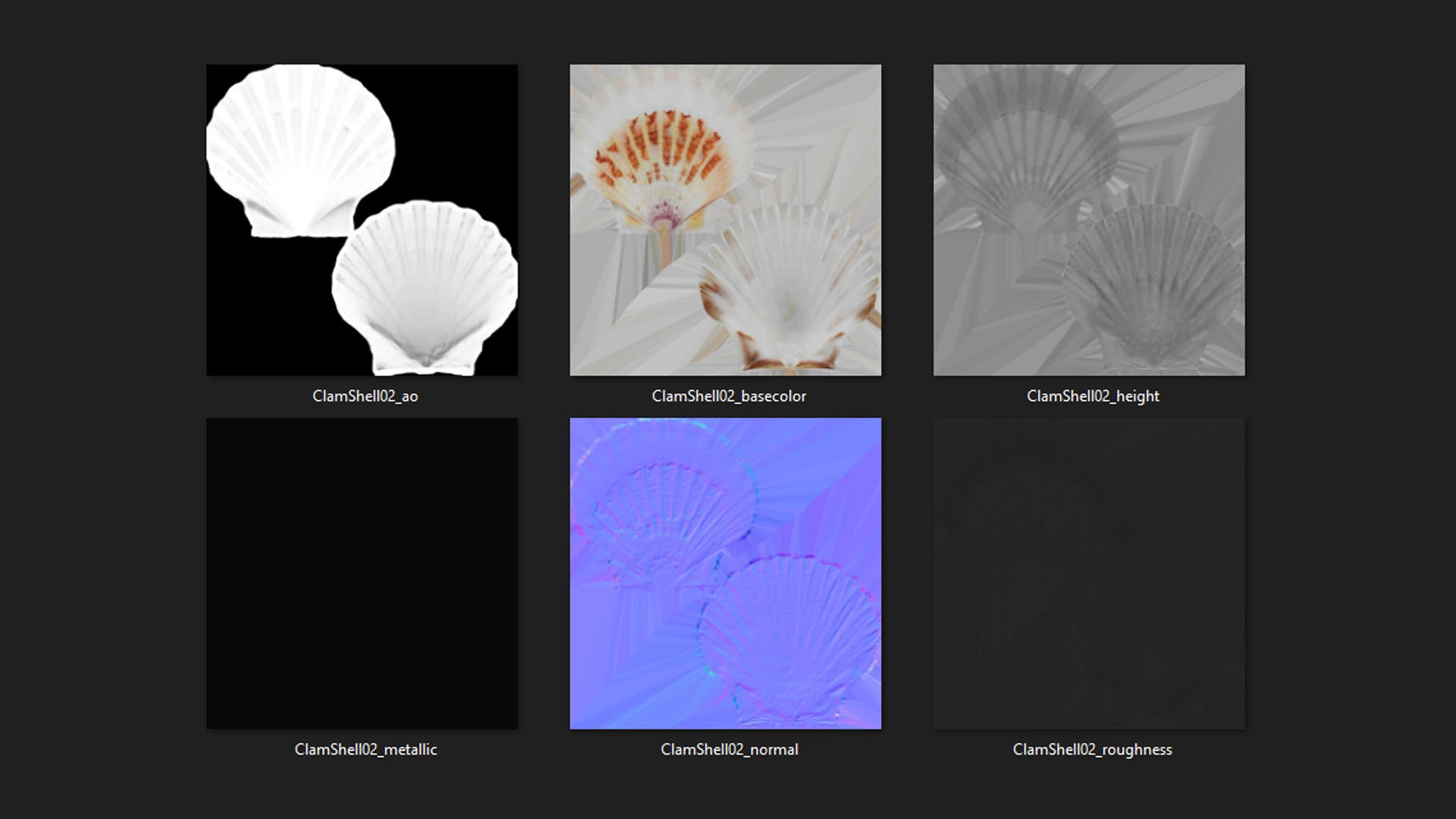 Clam Shell 02 Pose 2 3D Model - TurboSquid 2223907