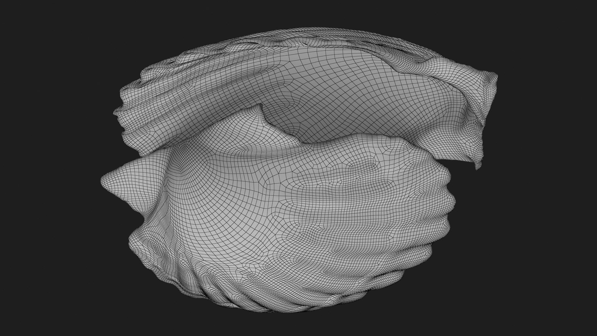 Clam Shell 02 Pose 2 3D Model - TurboSquid 2223907
