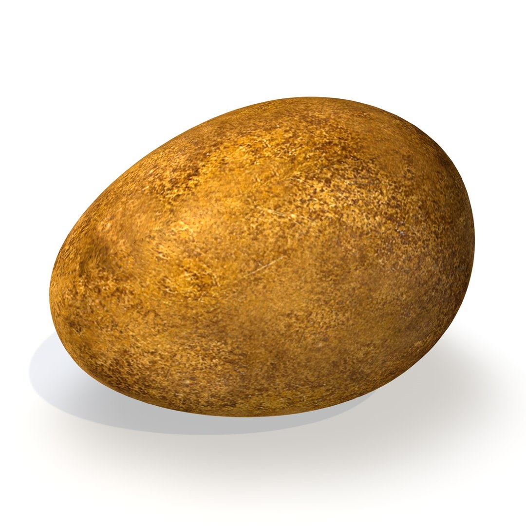 falco rusticolus egg