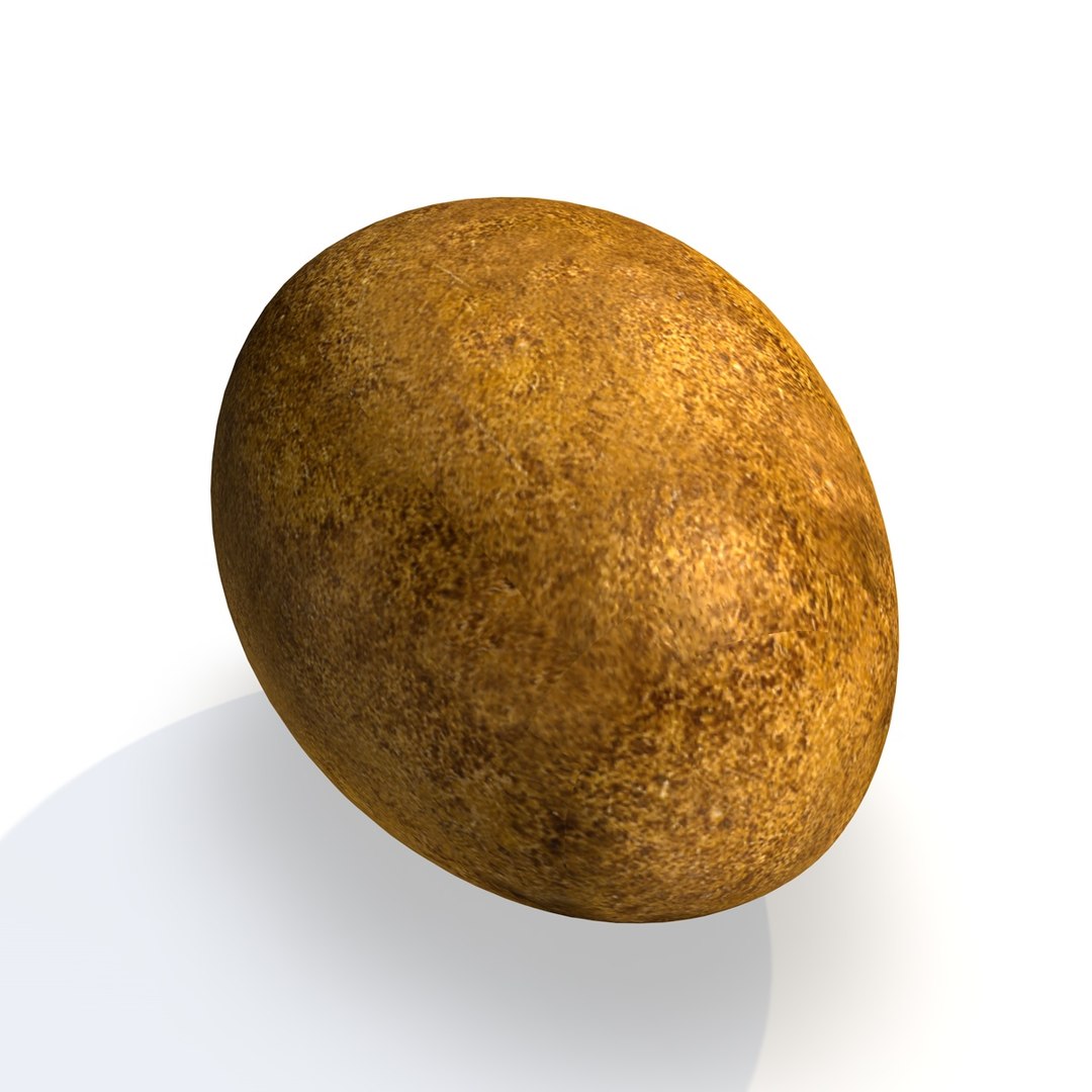 falco rusticolus egg