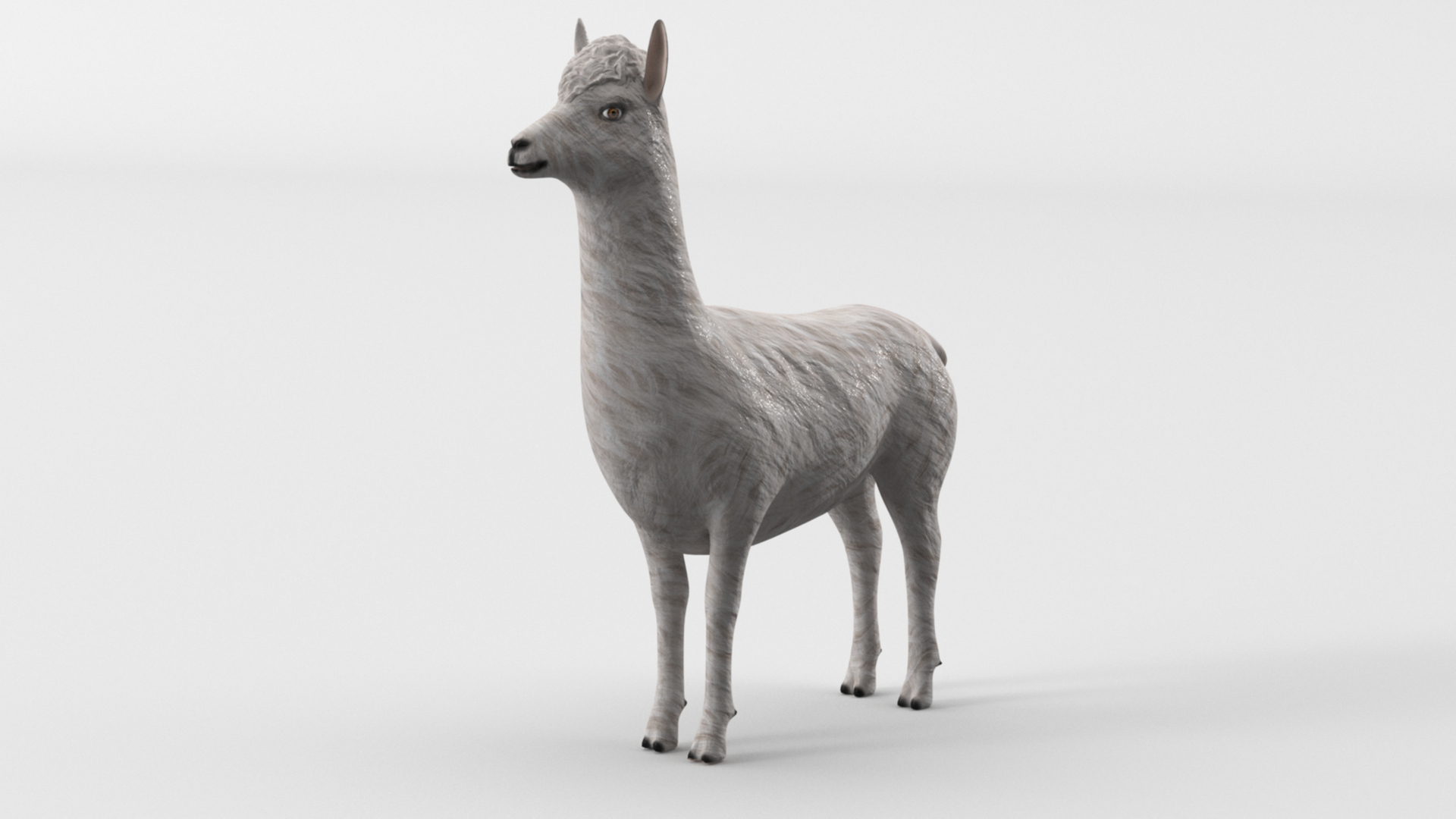 Animal Cartoon Lama - Alpaca - Llama - Low Poly 3D - TurboSquid 2002568