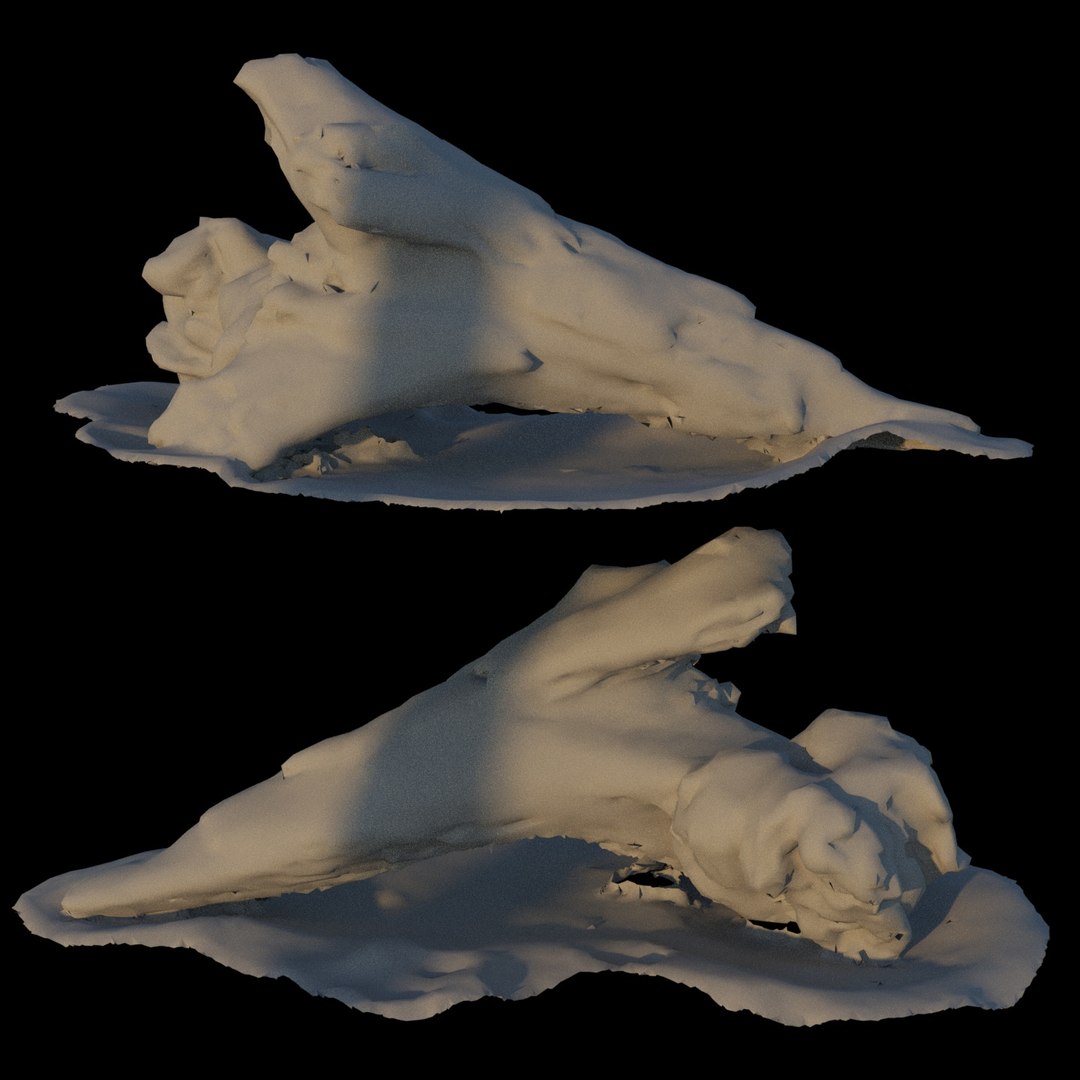 Driftwood Snow-covered 3D Model - TurboSquid 1672930
