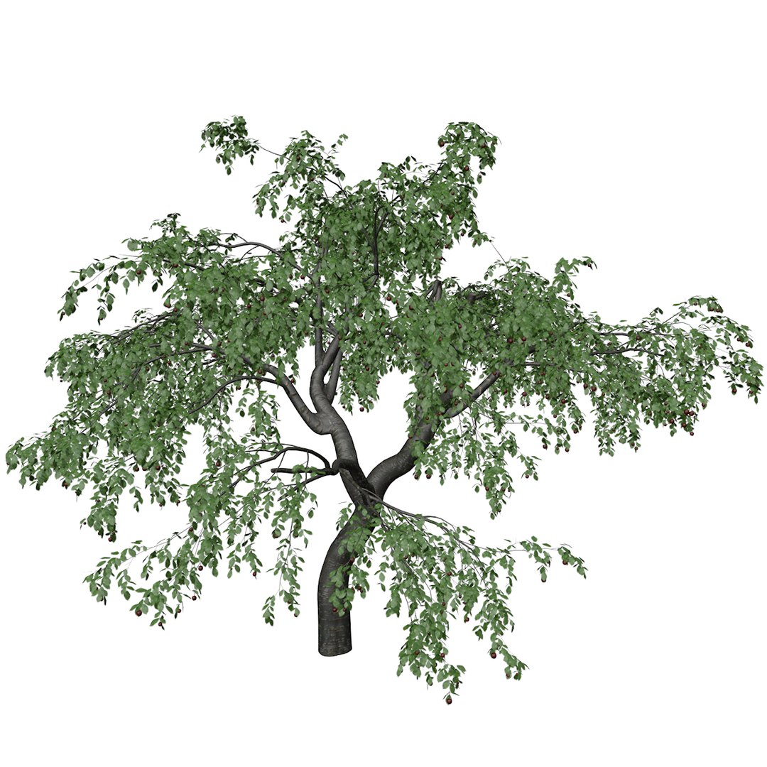 3D Cherry Tree Collection - TurboSquid 2378962