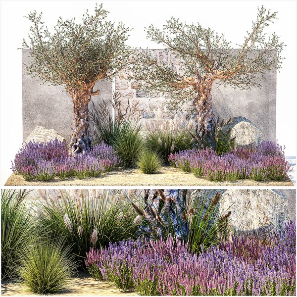 modèle 3D de Beau jardin avec de vieilles fleurs de lavande en plumes d ...
