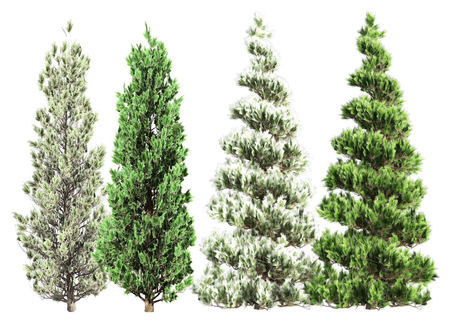Evergreen And Snow Dusted Pine Landscape Pine Trees 3D Model ...