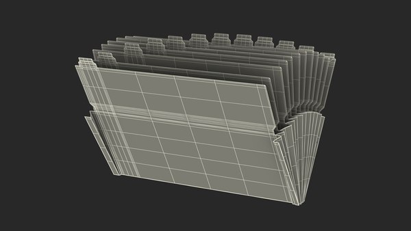 Pocket File Folders Open Pink 3D model - TurboSquid 1805438