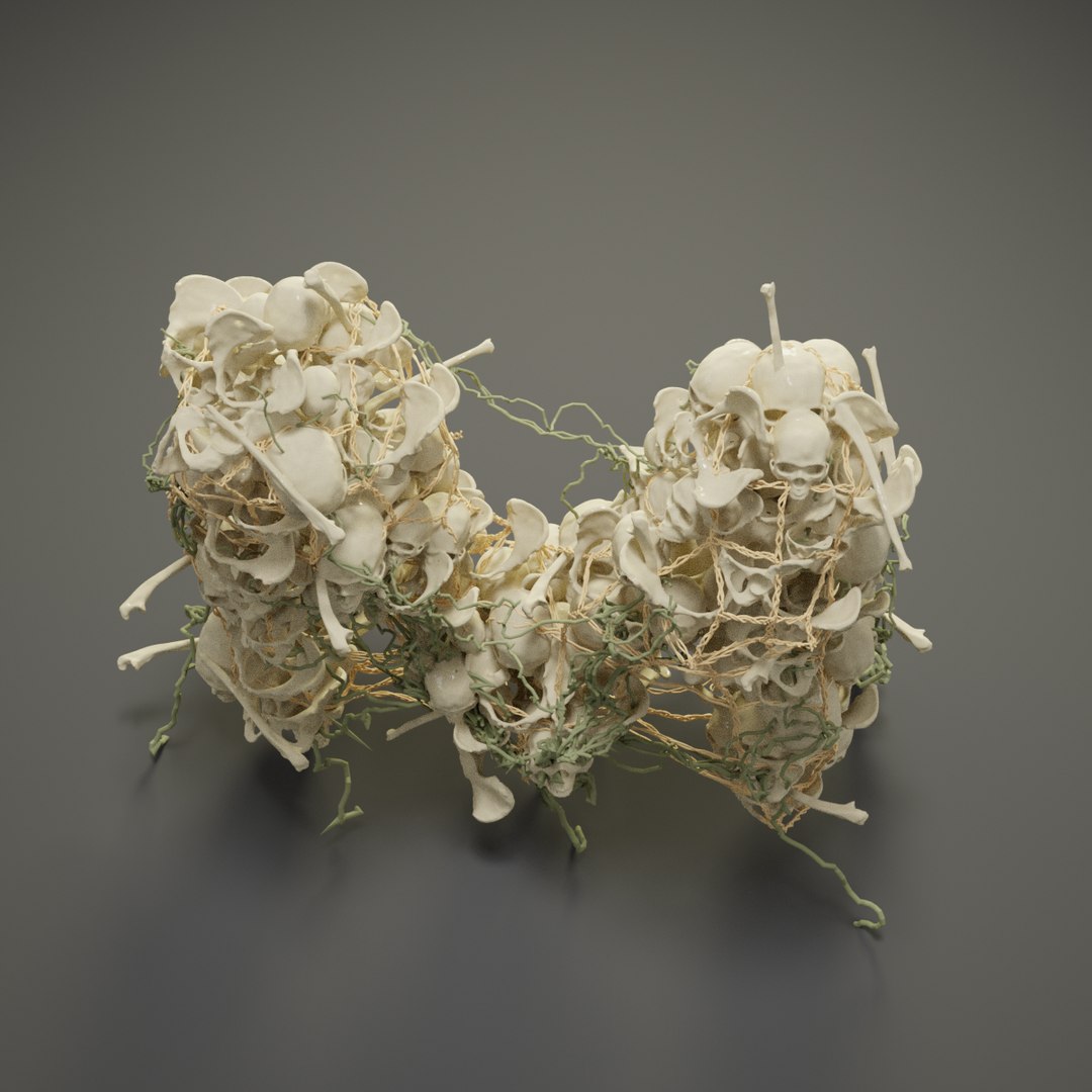 Letter m bones skeleton 3D model - TurboSquid 1546204