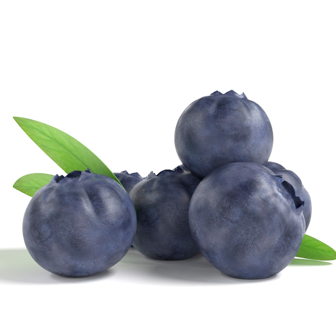 Obj Bluberries Blueberry