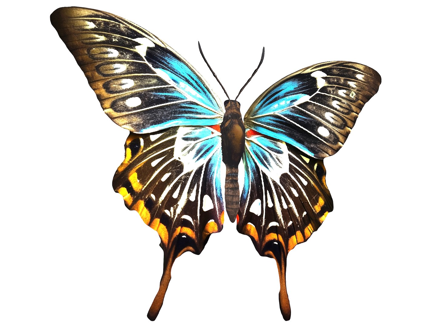 3D Model Butterflies Pack - TurboSquid 2151190