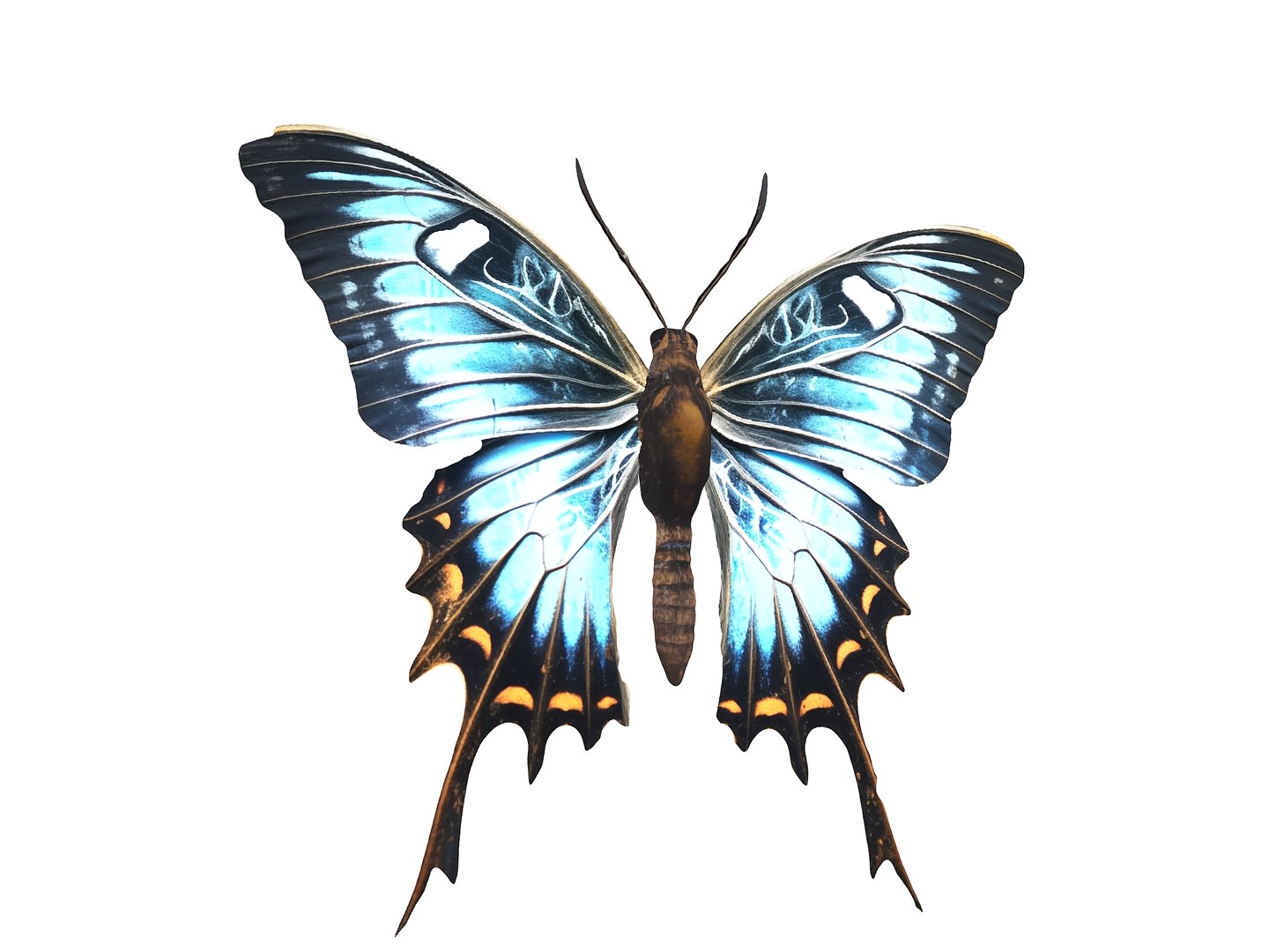 3D Model Butterflies Pack - TurboSquid 2151190