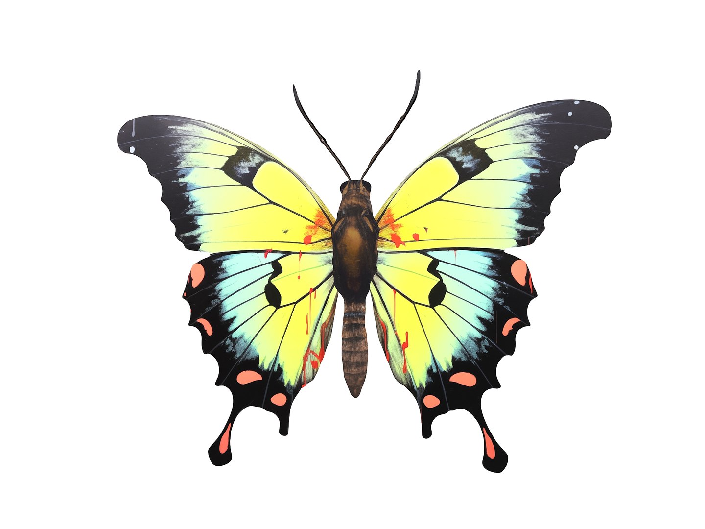 3D Model Butterflies Pack - TurboSquid 2151190