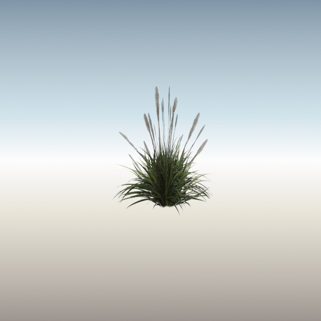 optimized bush 3d model