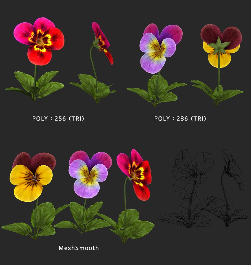 Flower 3D - TurboSquid 1343662