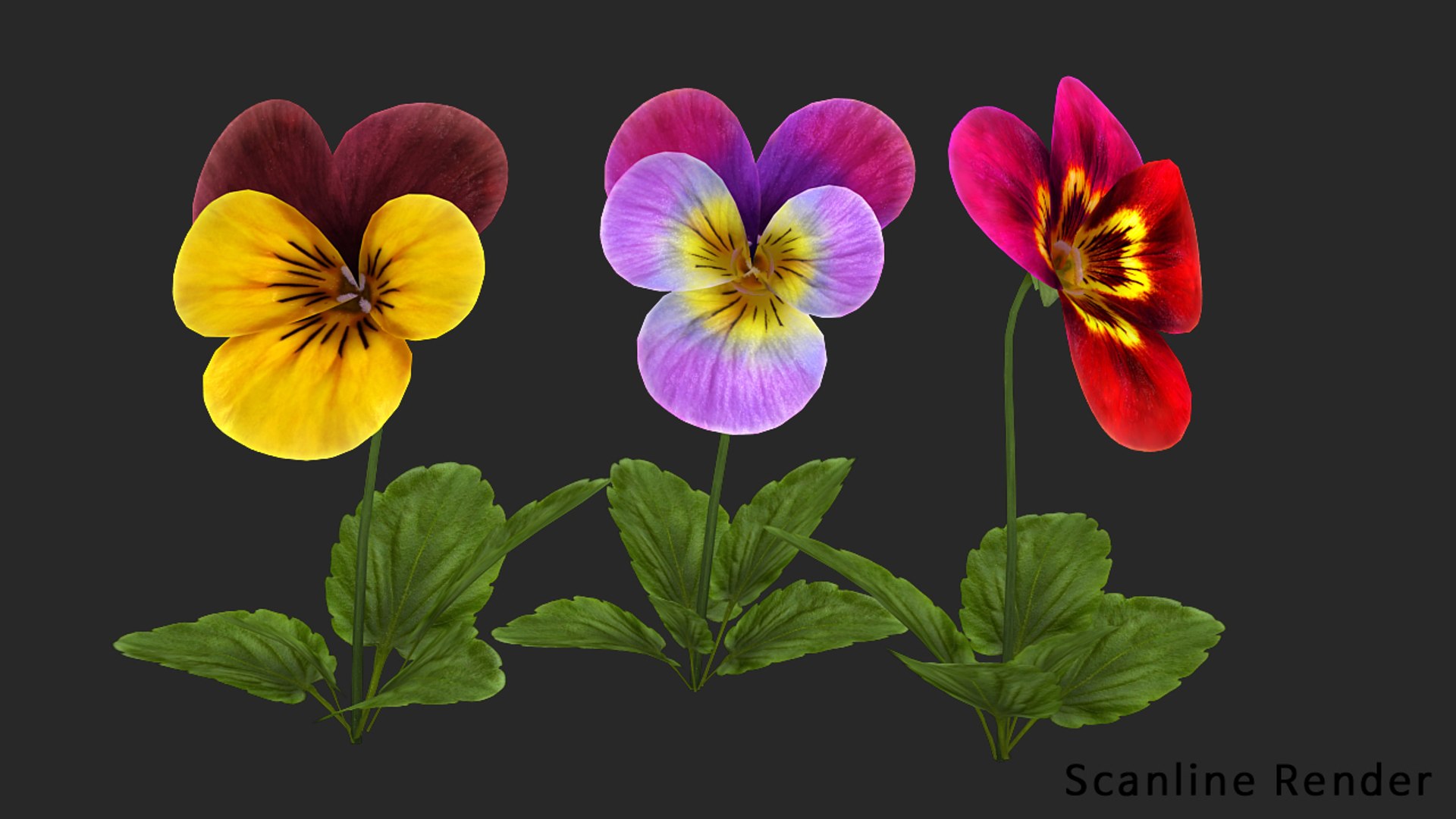 Flower 3D - TurboSquid 1343662